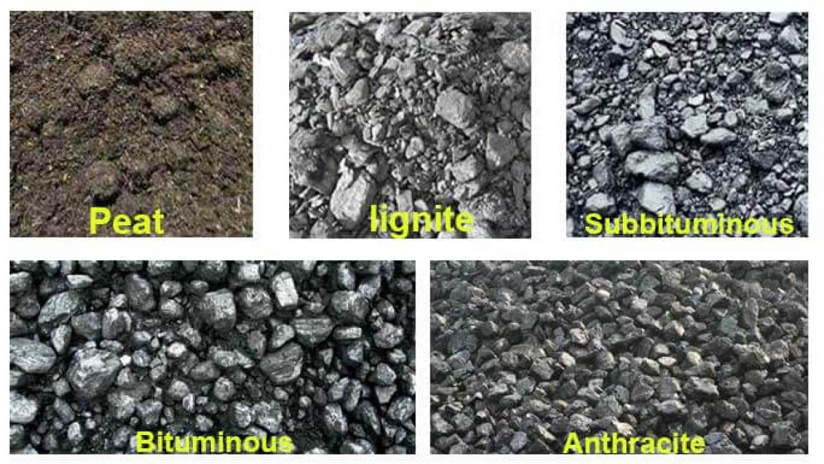 Types Of Coal For Forging at Tyson Richardson blog